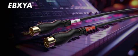 XLR CABLE