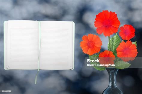 공원 나무와 하늘 흐리게 배경 왼쪽에 귀하의 정보에 대 한 빈 장소 열린된 참고도 서와 세라믹 꽃병에 아름 다운 라이브 큰 금 계 국 꽃다발 꽃다발 0명에 대한 스톡 사진