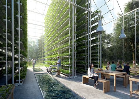 Esempio Di Vertical Farm I Progetti Di Planeta SRL