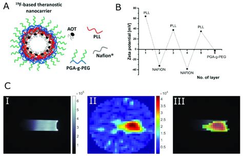 A Schematic Structure Of Polyelectrolyte Nanocapsules For 19 F Mri