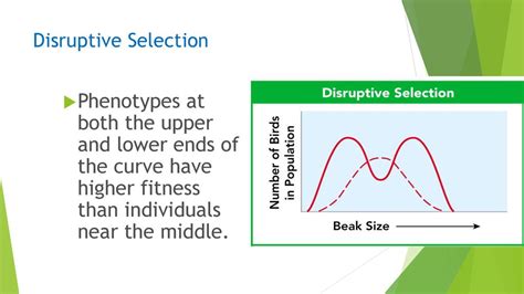 Evolution Of Populations Ppt Download
