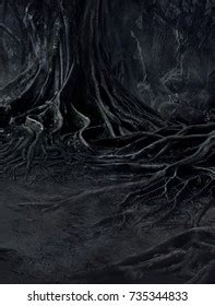 Dead Mysterious Forest Creepy Trees Twisted Stock Photo Shutterstock