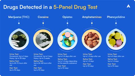 5 Panel Drug Screening All You Need To Know