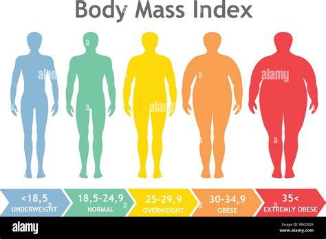 Body Mass Index Morbidly Obese At Bryan Hanes Blog