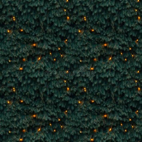 Festive Pine Tree Close Up With Warm Twinkle Lights And Fresh Pine Branches Stock Illustration