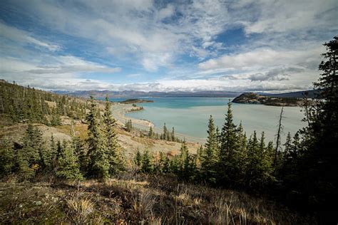 Kluane Gölü Stok Fotoğraf Resimler Ve Görseller Istock