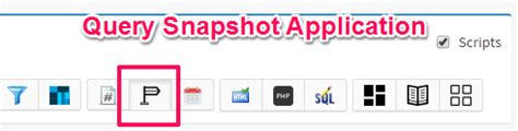 Query Snapshot Application DbFace Documentation