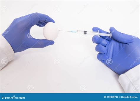 Plastic Surgeon Doctor Injects Botox Into The Egg Concept Of Injections To Men In The Intimate