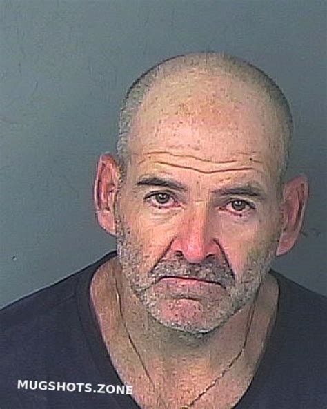 Ridpath Shandale Michael 07 14 2024 Hernando County Mugshots Zone