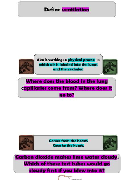 Eoc 1 Stage 8 Unit 1 And 3 Review Game Pdf