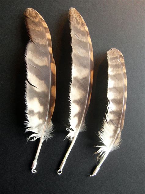 Tawny Owl Primary Feathers Sterling Silver Screech Owl Feather Barn