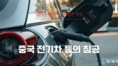 캠핑카 제작자가 바라본 중국전기차 Youtube