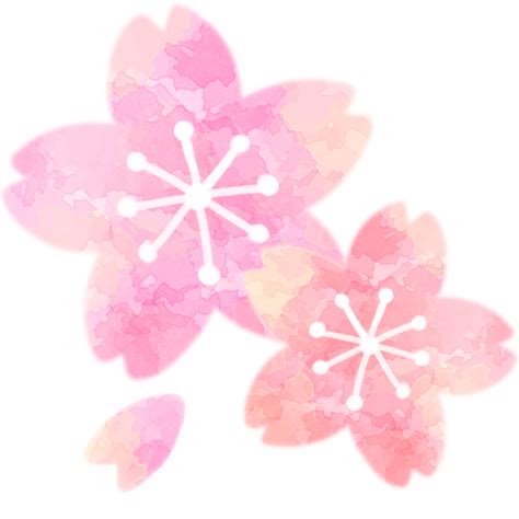 桜の花イラスト水彩風 無料イラスト素材｜素材ラボ