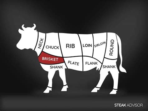 Rib Primal Location On A Cow List Of Cuts And Subprimals