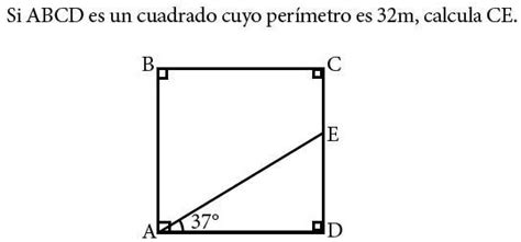 Solved Ayudaa Doy Corona Y Mas Puntos Si Tiene Procedimiento Mejr Si