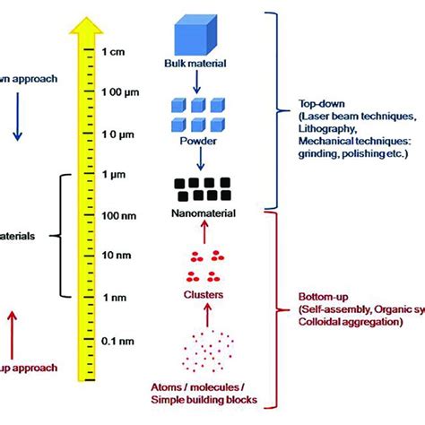 Top Down And Bottom Up Approaches Of Self Assembly Download