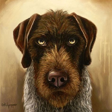 German Wirehair Pointer Pastel By Cat Culpepper Fine Art America
