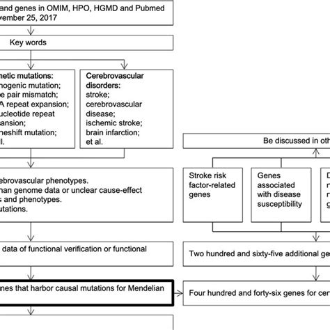 Screening Genes Of The Panel Hgmd Human Gene Mutation Database Hpo Download Scientific