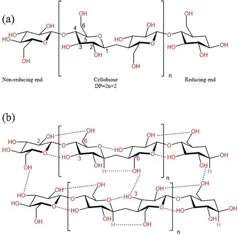 Jrm Free Full Text Extraction Utilization Functional Modification