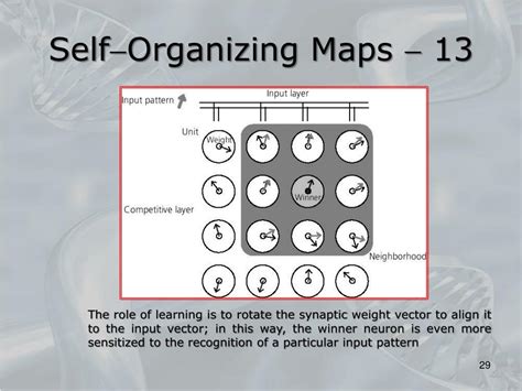 Ppt Unsupervised Models And Clustering Powerpoint Presentation Free Download Id 2276194