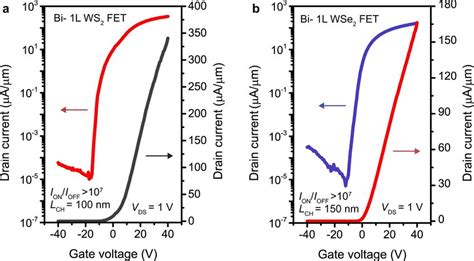 Transfer Characteristics Of Monolayer Ws2 And Wse2 Fets With Bi