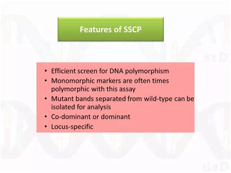 Single Strand Conformation Polymorphism Ppt