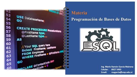 18 Ciclo While YouTube