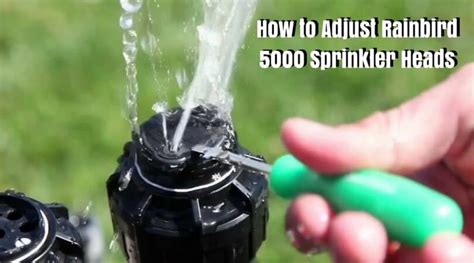 How To Adjust Rainbird 5000 Sprinkler Heads Useful Guide Artofit