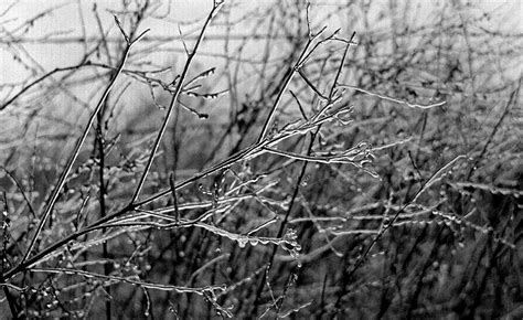 How To Shoot An Ice Storm Cape Girardeau History And Photos