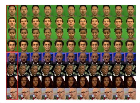 Temporally Coherent Human Video Deepfakes Via Diffusion Metaphysicai