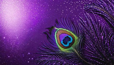 Purple Peacock Feather Images Free Download On Freepik