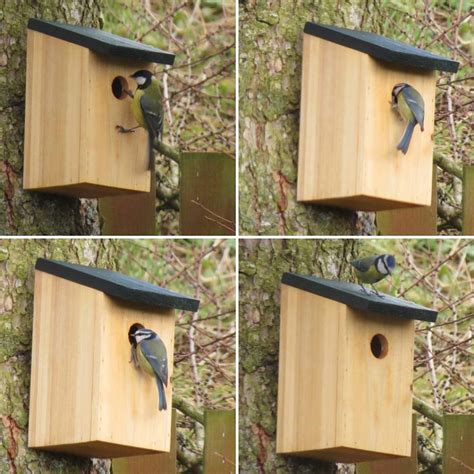 How To Put Up A Nest Box Happy Beaks Blog