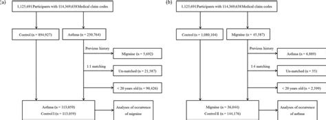 Schematic Illustration Of The Participant Selection Process That Was