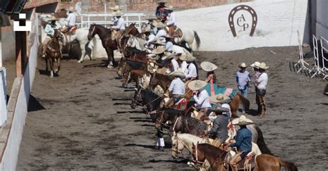 한 무리의 남자들이 말의 등에 올라탔다 사진 Unsplash의 무료 라 피에다드 이미지