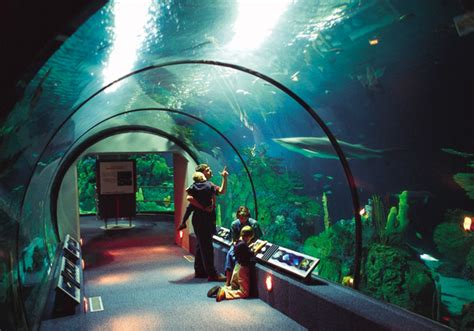 Moody Gardens Aquatic Pyramid The Jti Companies Inc And Jti Jove®️