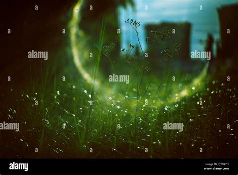 Strange Effects From Camera Lenses Create Sunlight Light Pants