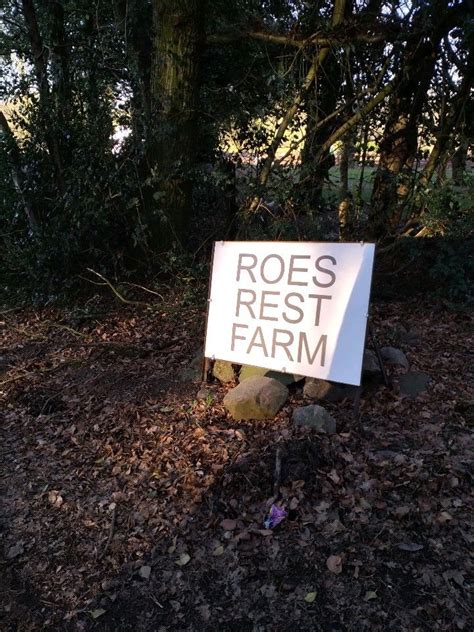 Alan Meadows On Linkedin Amazing Where These Criminal Offenders Get Rehoused These Days