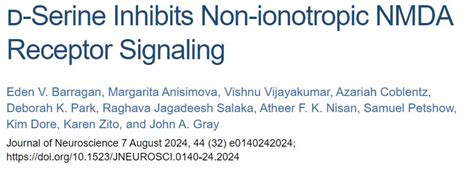 D Serine Inhibits Non Ionotropic Nmda Receptor Signaling Gray Lab