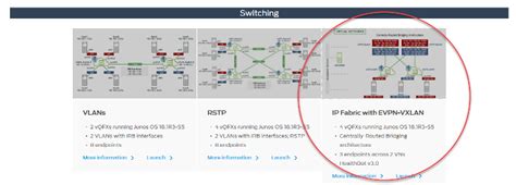 Exploring Evpn Vxlan Overlay Architectures Bridged Overlay Official Juniper Networks Blogs