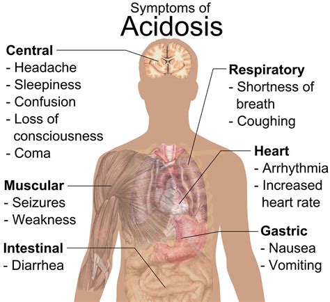 Normal Anion Gap Metabolic Acidosis Or Non Anion Gap Metabolic Acidosis