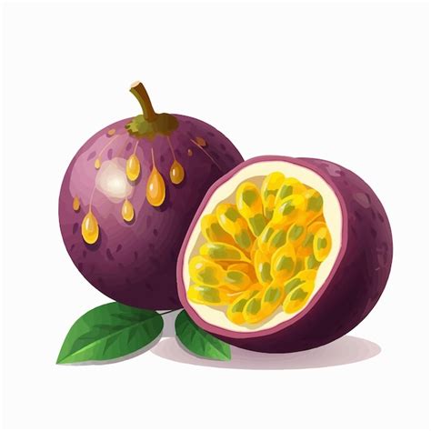 Premium Vector Passion Fruit Vector Illustration On A White Background