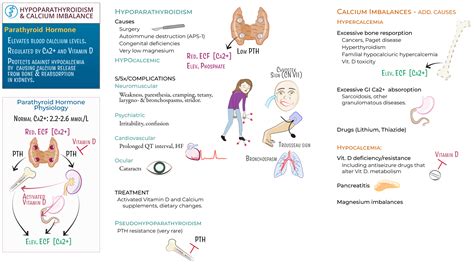 Pseudohypoparathyroidism Pathophysiology