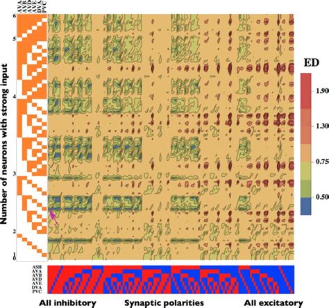 Dependence Of The Euclidean Distance ED On The Patterns Of Synaptic Download Scientific