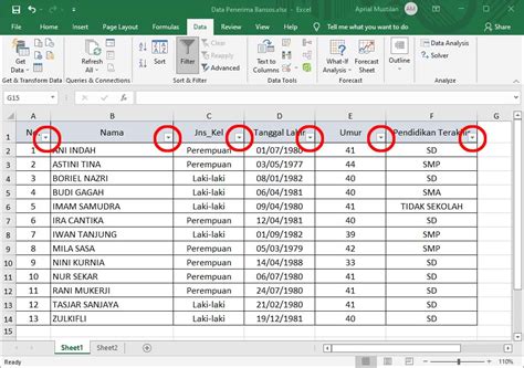 Cara Filter Data Di Excel Amustilan
