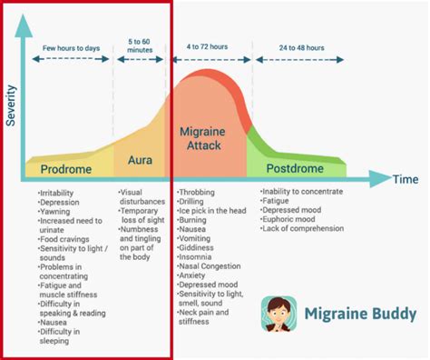 What Is Migraine Prodrome Migraine Buddy