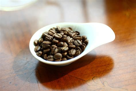 라틴 아메리카 원두 Snippod