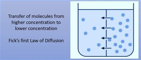 Ficks First Law Of Diffusion Calculator Molecular Diffusion Chemenggcalc