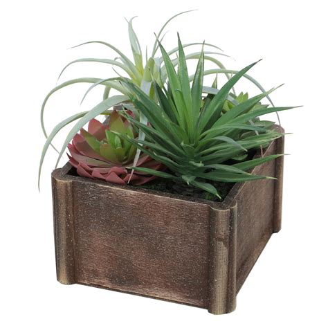 Desert Oasis Lifelike Plant In Rustic Wooden Pot — Bt Shalom