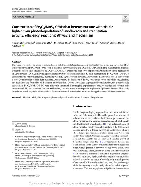 Construction Of Fe3o4 Mos2 O Biochar Heterostructure With Visible Light Driven Photodegradation
