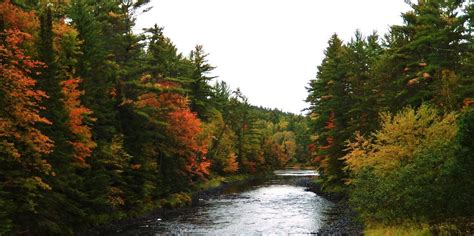 Samuel De Champlain Park Has Trails With Stunning Fall Colours